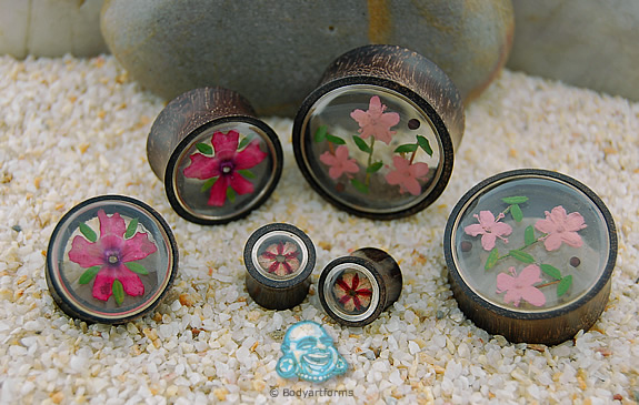 Pressed Flower Plugs