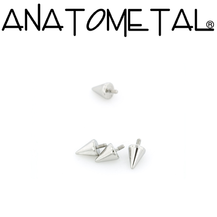 Custom Order Steel Threaded Spike