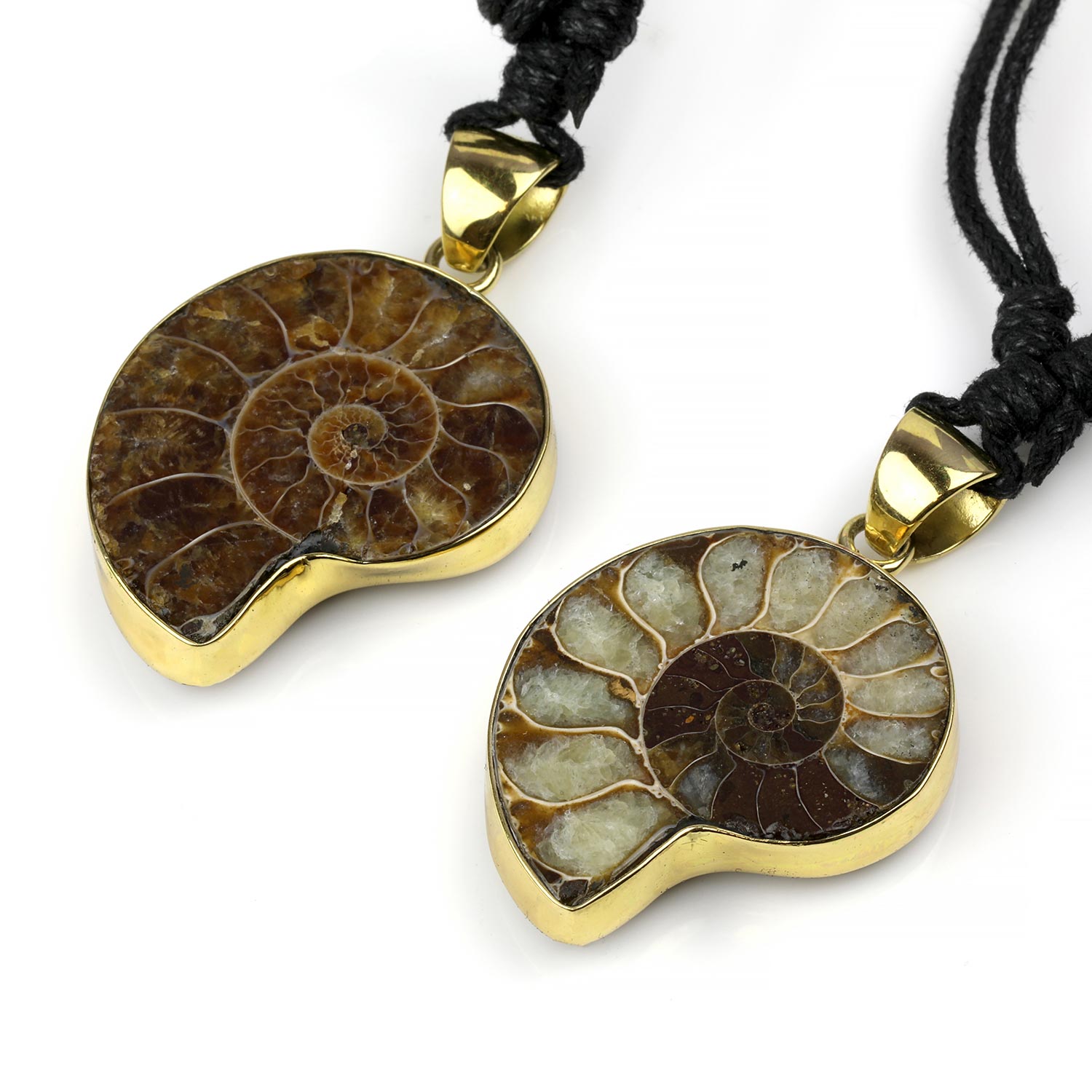 Brass Ammonite Necklace