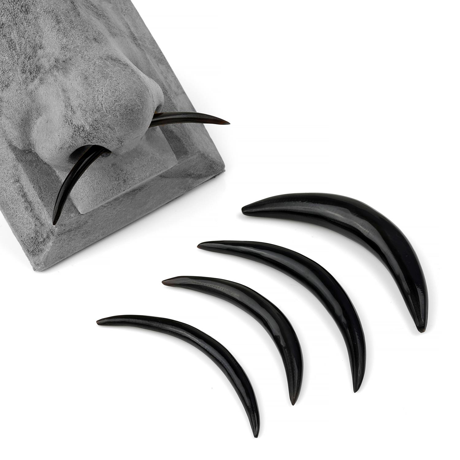 Organic Horn Septum Tusk