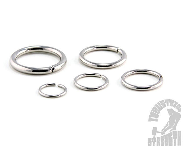 Custom Order Steel Continuous Ring