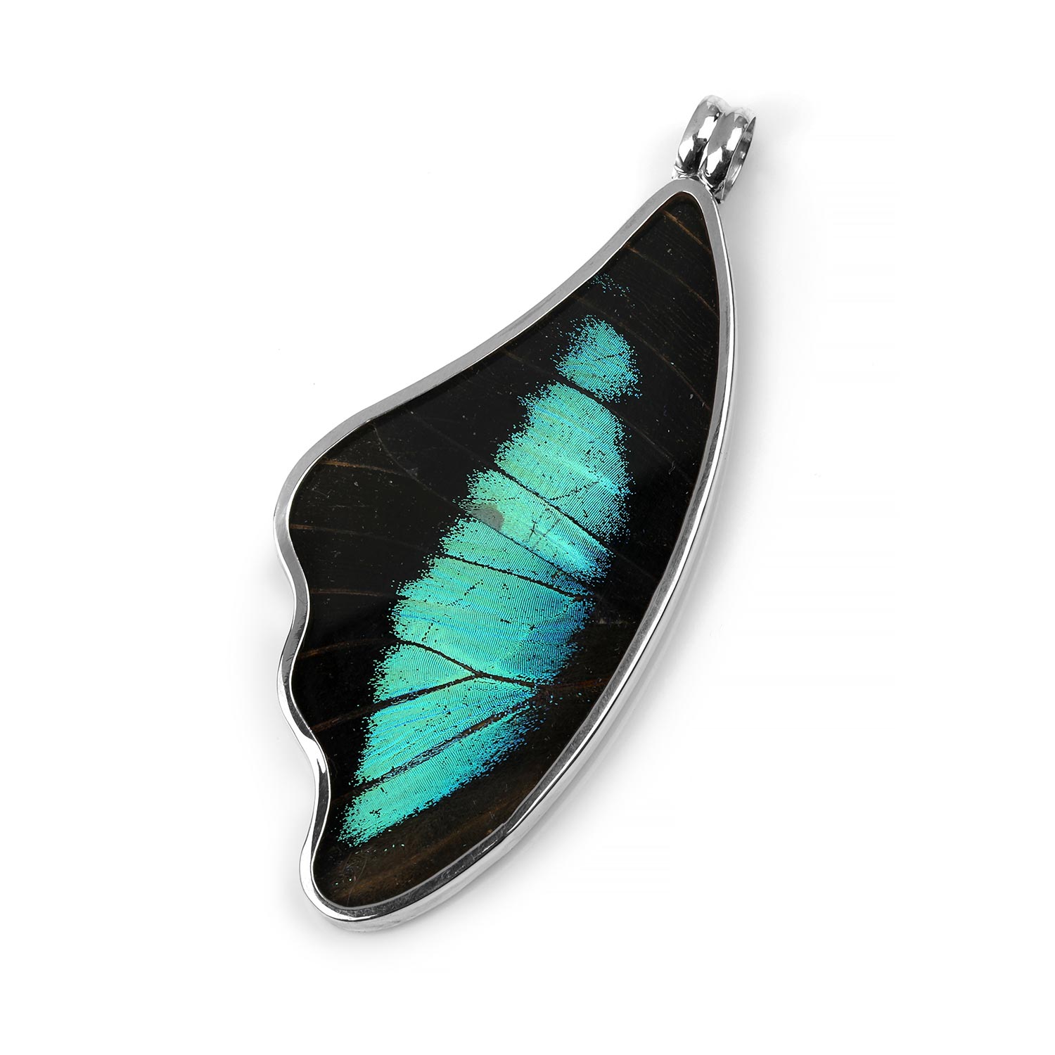 Silver And Prepona Butterfly Wing Pendant Necklace