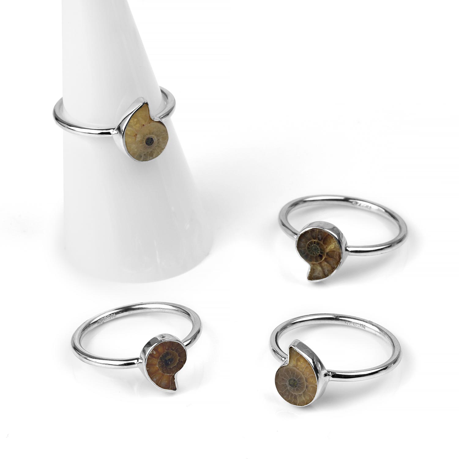 Silver Dainty Ammonite Fossil Sterling Ring