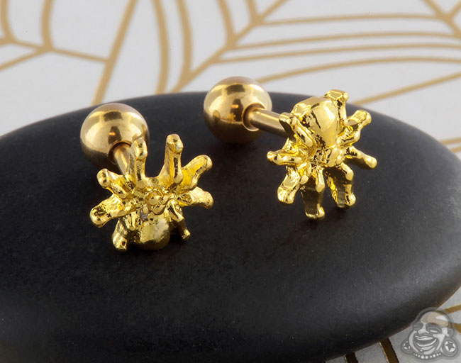 Itsy Bitsy Spider Barbell