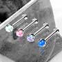 Internally Threaded Titanium Prong Set Opal Labret