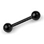 Internally Threaded Titanium Barbell