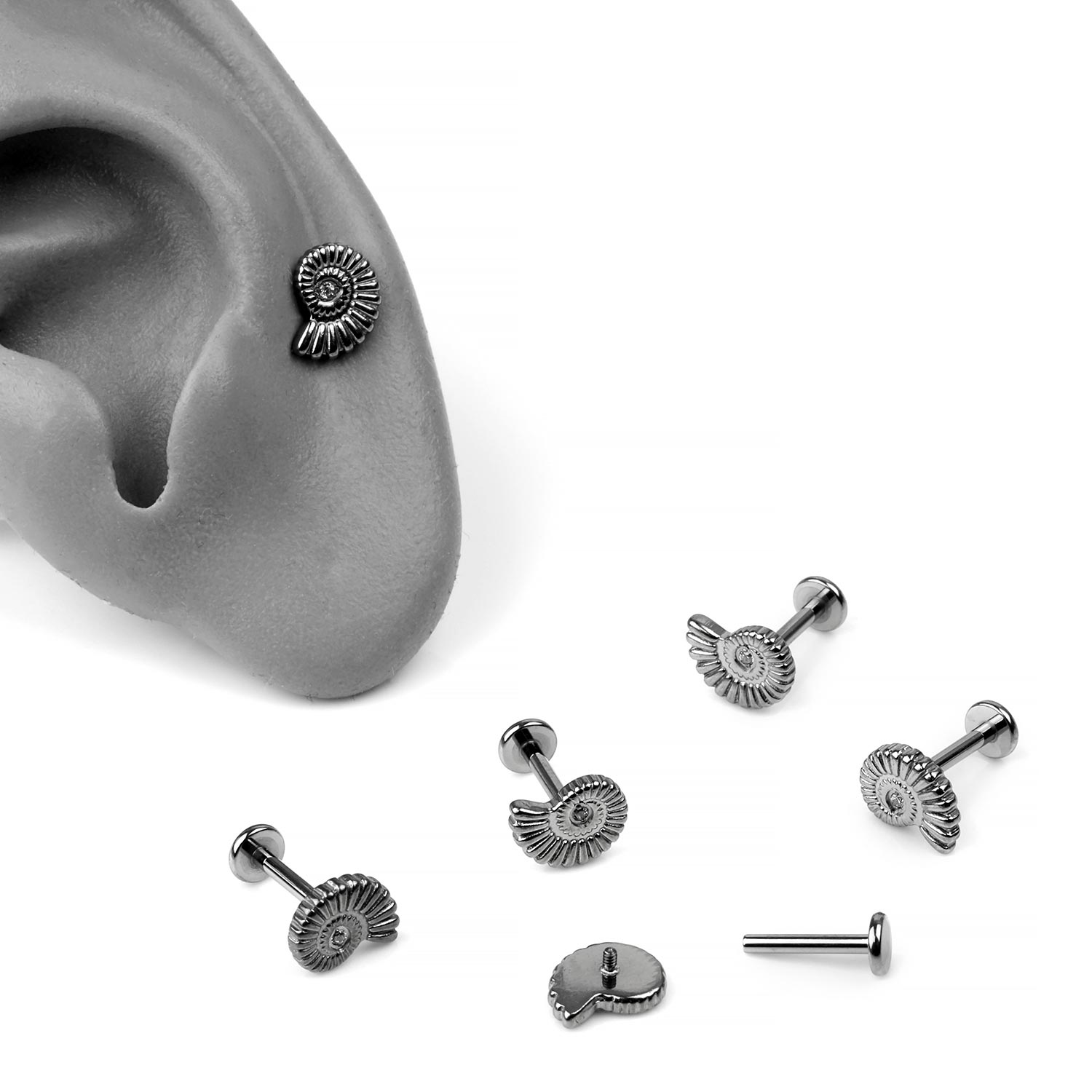 Ammonite Shell: Titanium Labret For Piercings