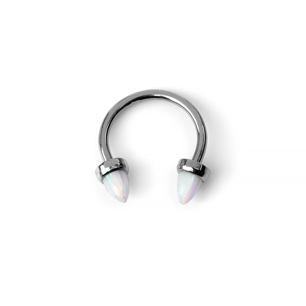 Titanium Threadless Circular Barbell With Bullet Ends