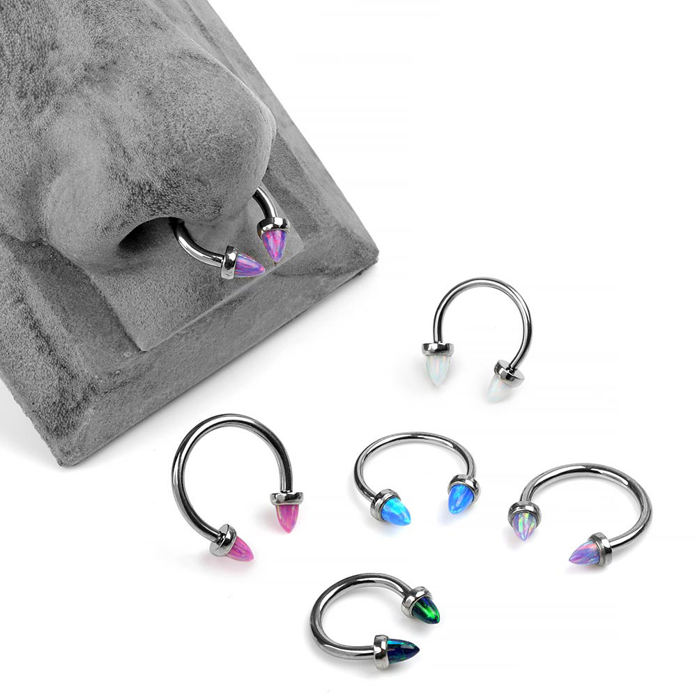 Titanium Threadless Circular Barbell With Bullet Ends